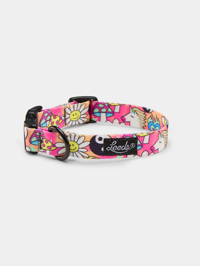 Lucky Collar – Leeds Dog Supply